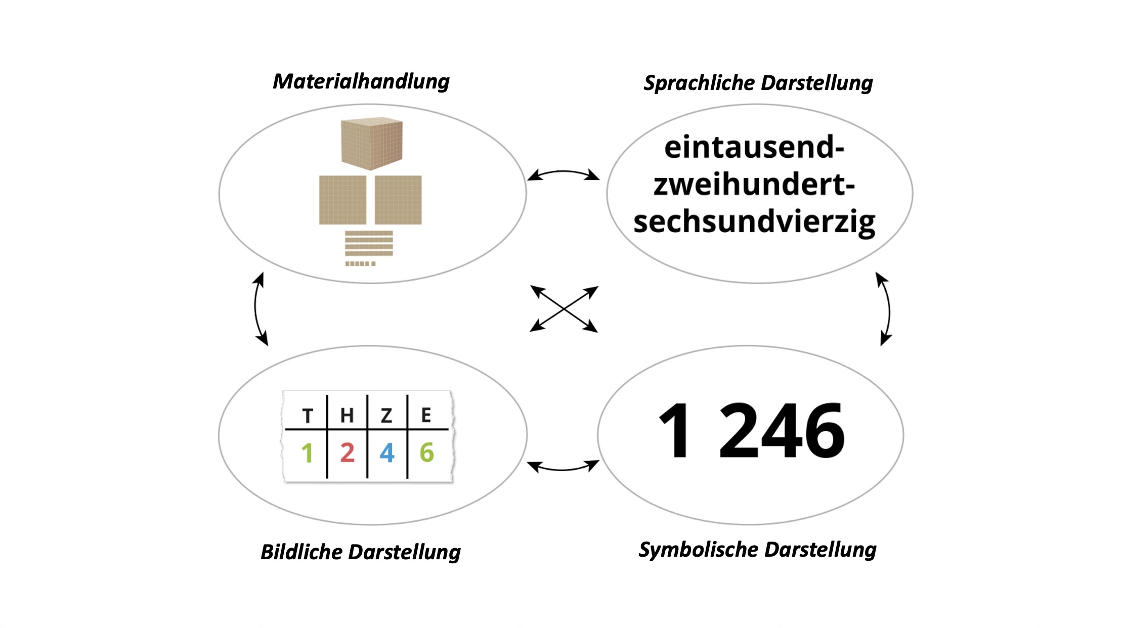 Materialeinsatz und Darstellungsvernetzung